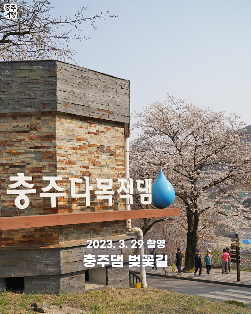2023년 3월 29일 기준 충주 벚꽃 개화 현황|충주댐 벚꽃 하방마을 벚꽃 네이버 블로그