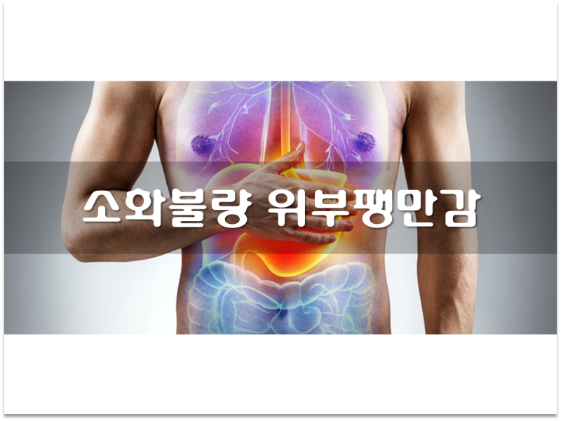 훼스탈 플러스 소화제 성분 효능 효과 복용법 부작용 가격 주의사항 편의점 셀룰라제 판크레아틴 시메티콘 우루사 네이버 블로그