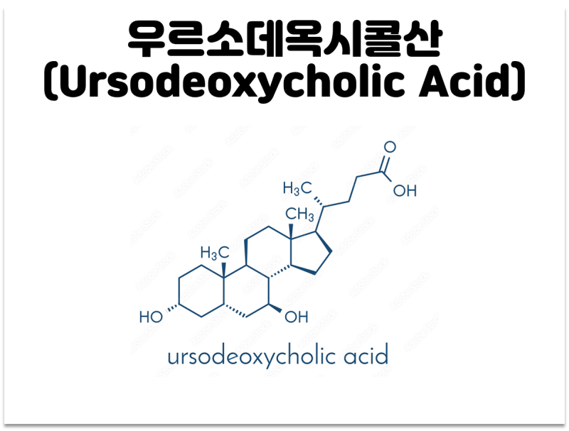 훼스탈 플러스 소화제 성분 효능 효과 복용법 부작용 가격 주의사항 편의점 셀룰라제 판크레아틴 시메티콘 우루사 네이버 블로그