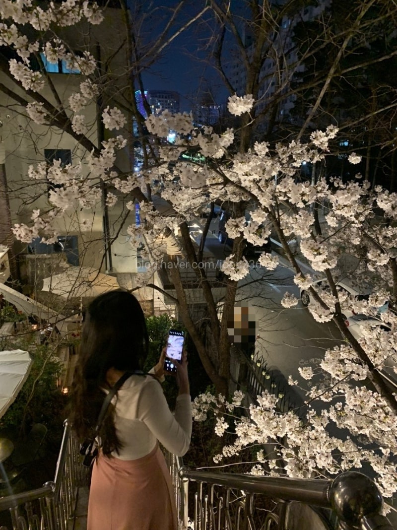 서울 유명한 벚꽃 명소 카페 연남동 벚꽃집 만개 네이버 블로그