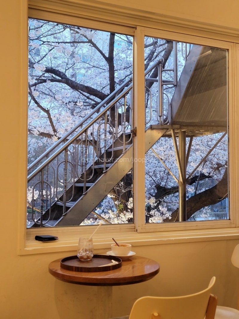서울 유명한 벚꽃 명소 카페 연남동 벚꽃집 만개 네이버 블로그
