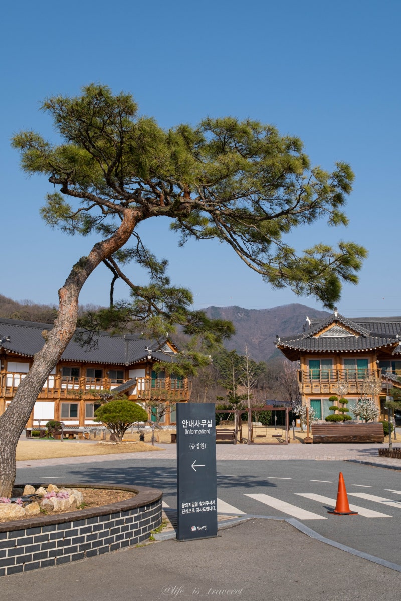 전주호텔 왕의지밀 정2품 이용 후기 전주 한옥마을 근처 아이 부모님 가족여행 숙소 추천 네이버 블로그