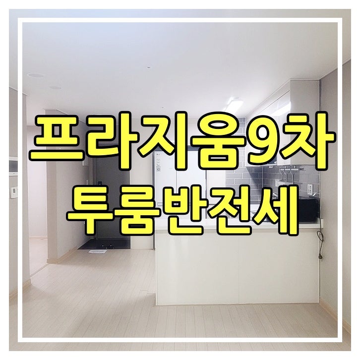 천안 두정동 프라지움9차 투룸 반전세 매물 네이버 블로그