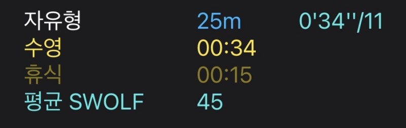 ️애플워치로 자유수영 기록하기 / 해석방법과 용어 정리 (SWOLF 스월프점수, 스플릿, 페이스) : 네이버 블로그