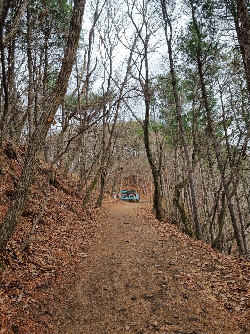 경주 토함산 등산코스 최단코스 석굴암주차장에서 정상까지 산행 및 석굴암 방문 주차비 입장료 네이버 블로그