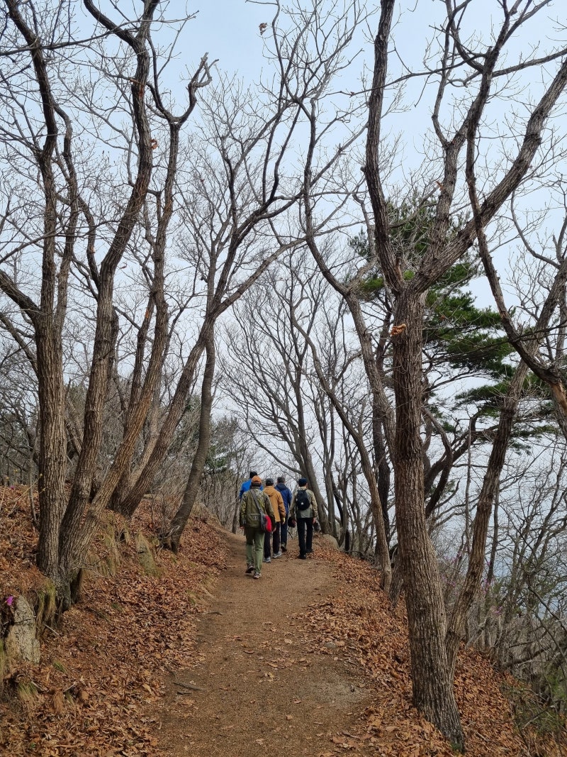 경주 토함산 등산코스 최단코스 석굴암주차장에서 정상까지 산행 및 석굴암 방문 주차비 입장료 네이버 블로그
