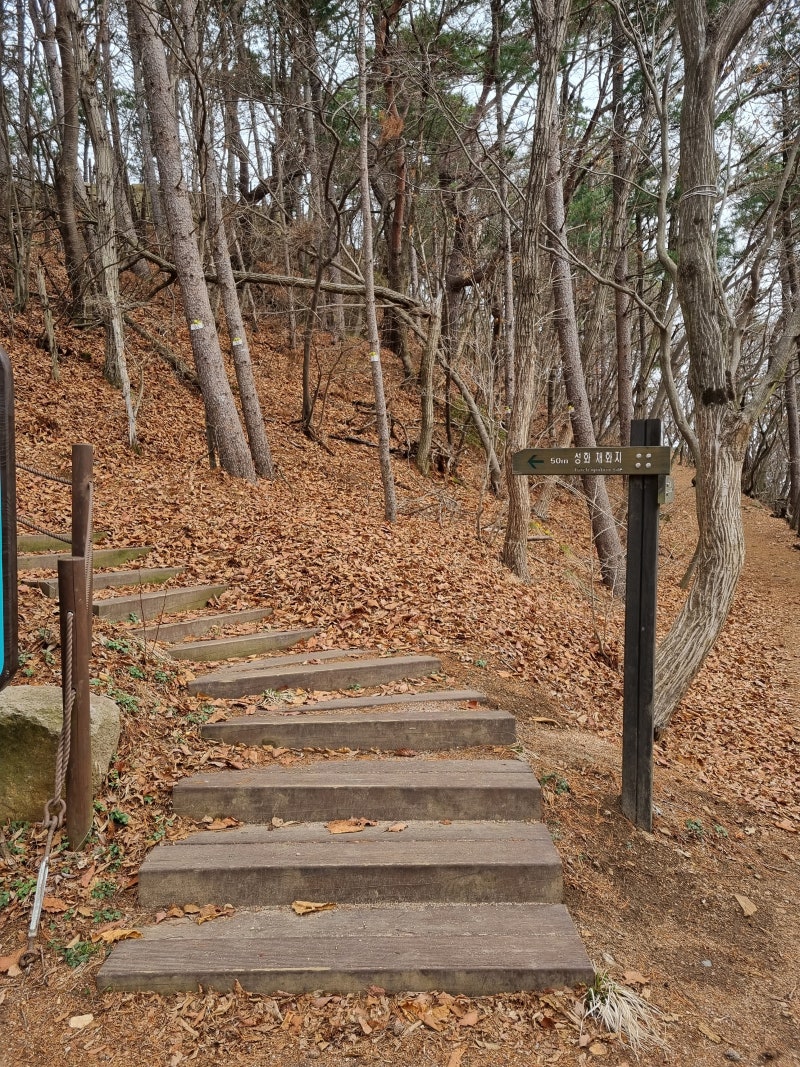 경주 토함산 등산코스 최단코스 석굴암주차장에서 정상까지 산행 및 석굴암 방문 주차비 입장료 네이버 블로그