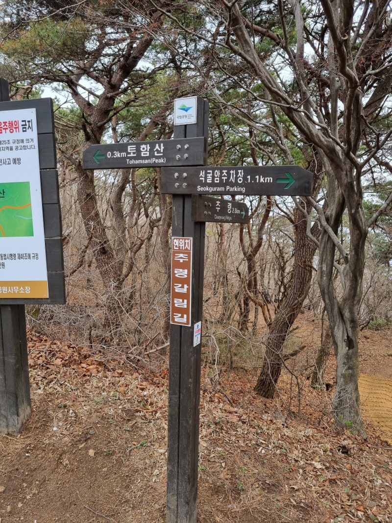 경주 토함산 등산코스 최단코스 석굴암주차장에서 정상까지 산행 및 석굴암 방문 주차비 입장료 네이버 블로그
