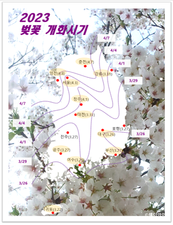 벚꽃 개화시기 벚꽃 종류왕벚산벚겹벚청벚 벚꽃 꽃말 경기도 벚꽃 명소 네이버 블로그