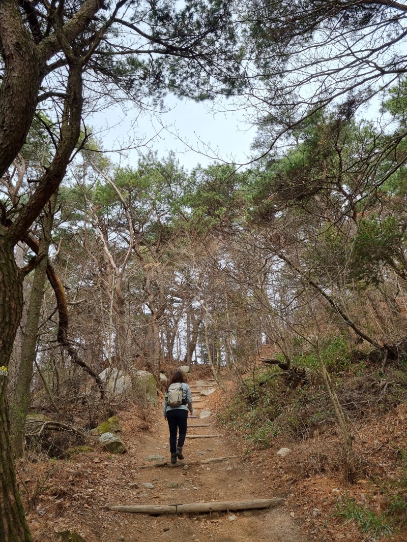 경주 토함산 등산코스 최단코스 석굴암주차장에서 정상까지 산행 및 석굴암 방문 주차비 입장료 네이버 블로그