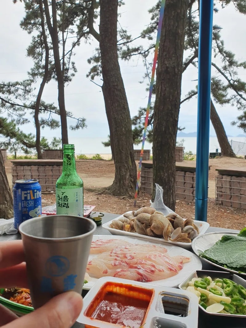 저렴하고 좋은 변산반도 고사포 야영장 국립공원 야영장 예약 및 이용 안내🙂 네이버 블로그