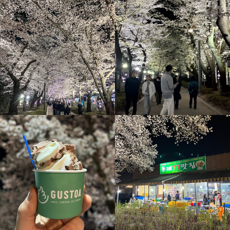 네이버 인플루언서