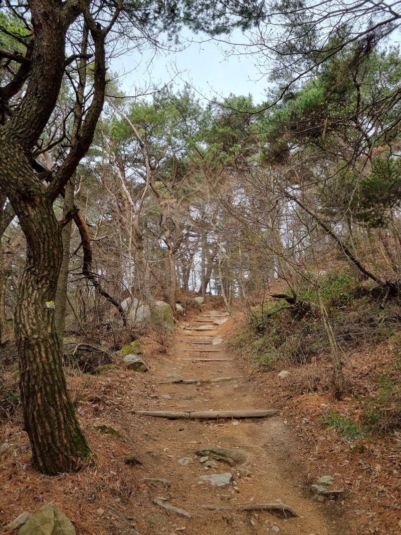 경주 토함산 등산코스 최단코스 석굴암주차장에서 정상까지 산행 및 석굴암 방문 주차비 입장료 네이버 블로그
