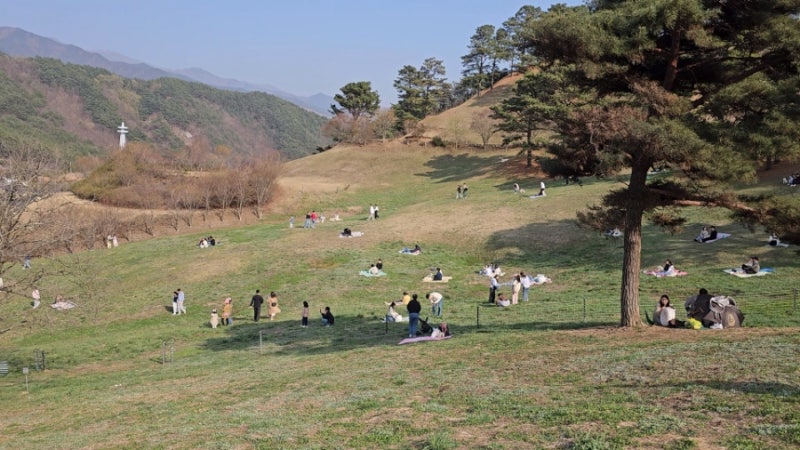 구례 여행 가볼만한곳 지리산 치즈랜드 추천 입장료 주의할점 수선화 만개 네이버 블로그
