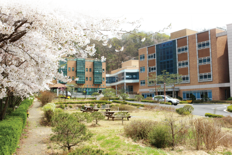 용인시 요양원 추천 1위~12위기흥구 수지구 처인구 국립 요양원 제일너싱홈 용인노인전문요양원 수지성모요양원 구성