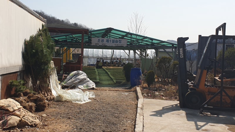 조경기능사 2차 실기시험 필답형 및 작업형 수험 後記 230328 0330 네이버 블로그