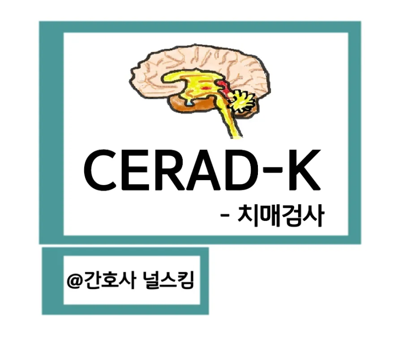 CERAD-K(치매검사) - 구성 및 특징 소개 : 네이버 블로그