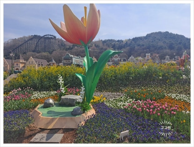 2023 용인 에버랜드 꿀팁 / 사파리 로스트밸리 자리 스마트줄서기 / 놀이기구 추천 썬더폴스 : 네이버 블로그