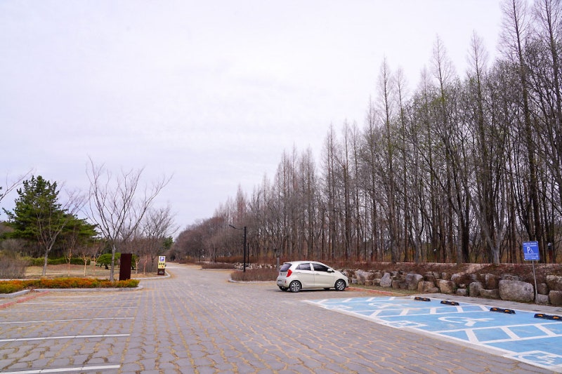 경북산림환경연구원 경주 천년숲정원 외나무다리 포토존 네이버 블로그