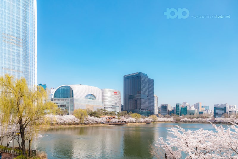 잠실 석촌호수 벚꽃축제 서울 벚꽃 명소 개화 소식 2023년 실시간 네이버 블로그