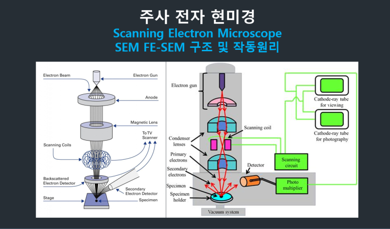 전자 현미경 작동 원리 및 SEM TEM 응용 (Ft. SEM TEM 사진 이미지, 해상도 분해능 공식, 활용분야) : 네이버 블로그
