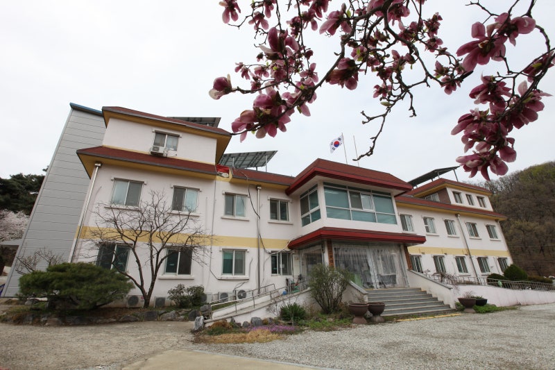 용인시 요양원 추천 1위~12위기흥구 수지구 처인구 국립 요양원 제일너싱홈 용인노인전문요양원 수지성모요양원 구성