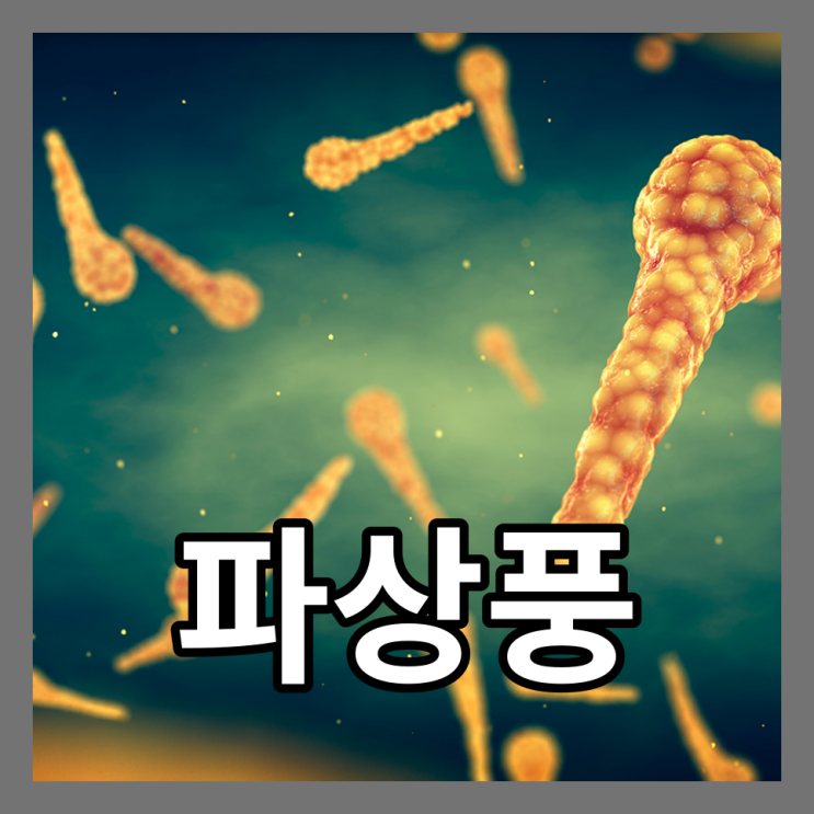 파상풍 초기증상과 예방접종 및 파상풍 주사약 균