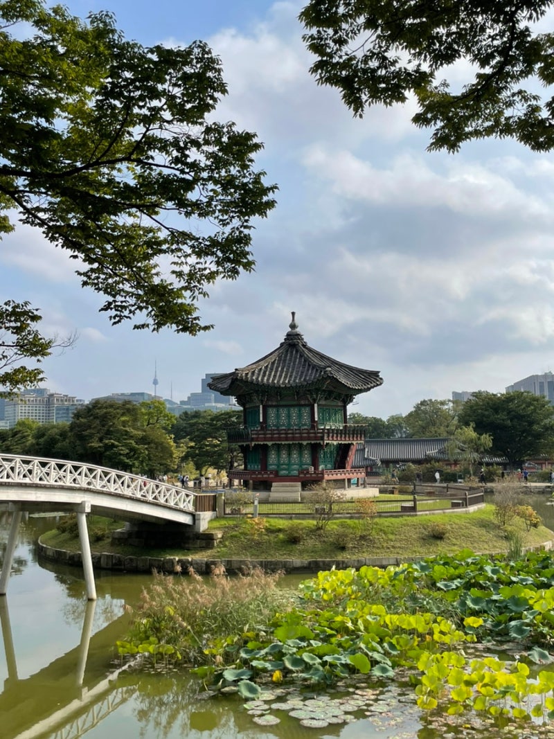 경복궁 향원정 서울 궁궐 혼자 여행 갈만한곳 네이버 블로그
