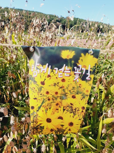 부산 기장 숨은 핑크뮬리 스팟 일광 광산마을 경관농업단지 위치 주차 네이버 블로그