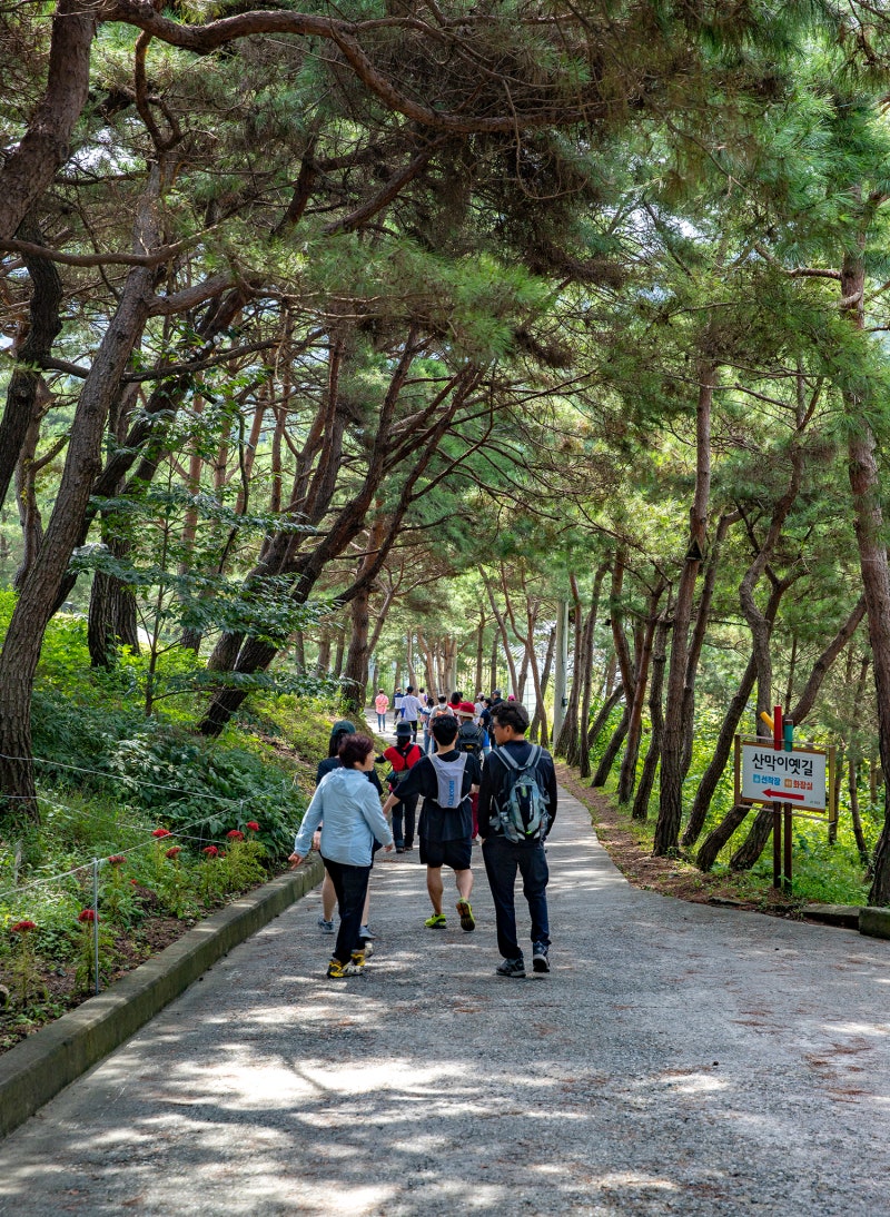 충북 괴산 가볼만한곳 괴산오일장 산막이옛길 유람선 문광저수지 여행 네이버 블로그