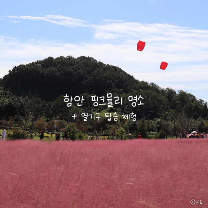 경남 함안 가볼 만한 곳 함안 열기구 체험 And 핑크뮬리 명소 악양생태공원 사진 콘테스트