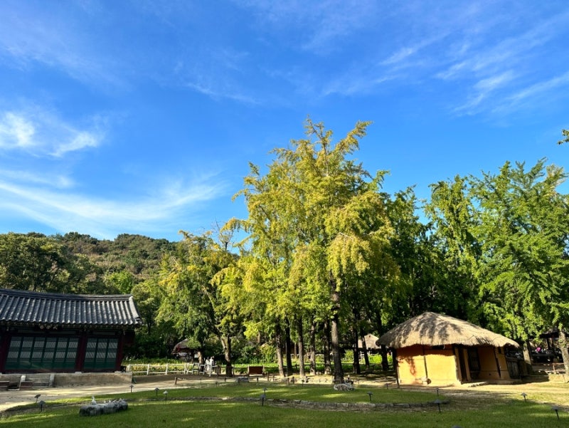 용인 한국민속촌 예약 시간 입장료 할인야간개장 후기 식당 이용 팁 네이버 블로그