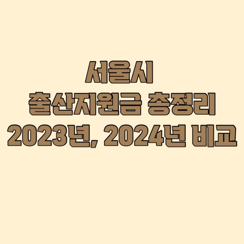 서울시 2023년 임신출산혜택 및 2024년 변경되는 출산혜택 총정리 쌍둥이 출산 예정 네이버 블로그
