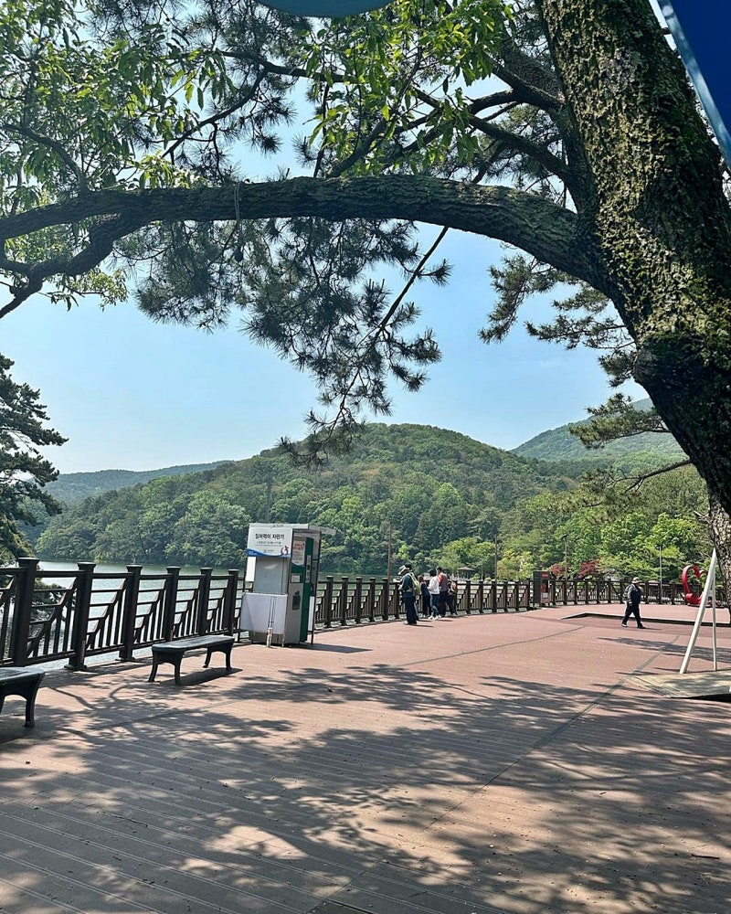 부산 어린이대공원 성지곡수원지 숲놀이터 산책 창의교육관 네이버 블로그
