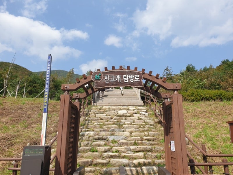오대산 노인봉 등산코스 진고개휴게소~노인봉 왕복 블랙야크 명산100 초보자 추천코스 네이버 블로그