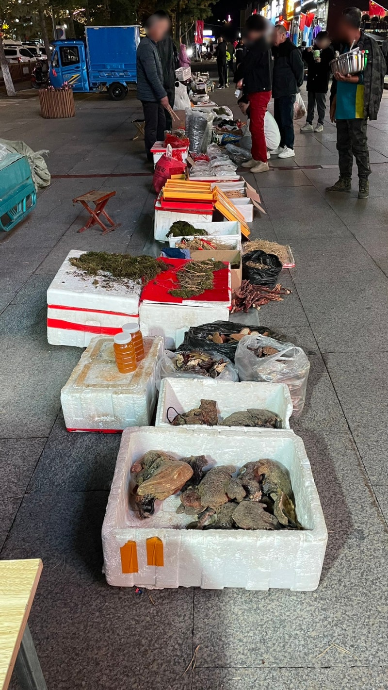 백두산 관광 영욱호텔 숙박 솔직 후기와 이도백하 시내 길거리 구경 이건 미리 알아가세요 네이버 블로그