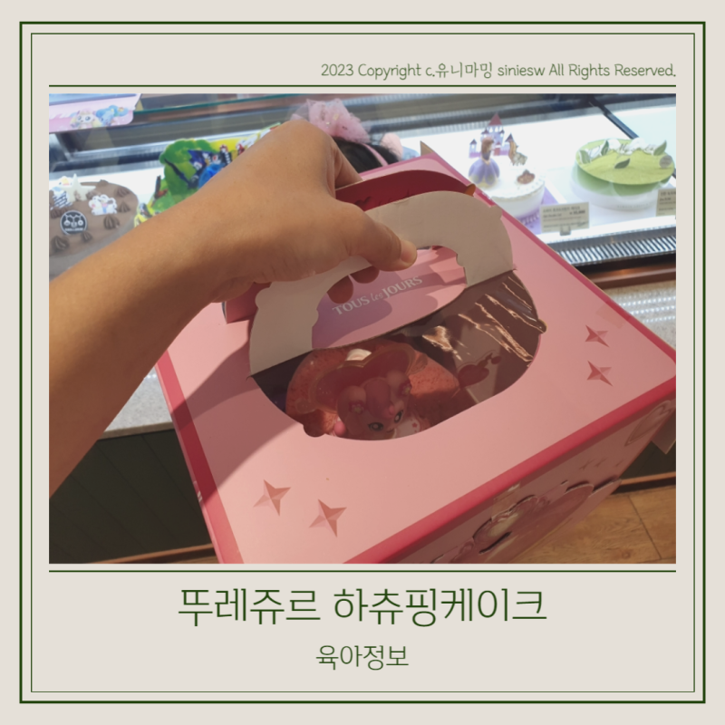 뚜레쥬르 알쏭달쏭 하츄핑 케이크 예약 캐치 티니핑 생일 케익 가격 할인 네이버 블로그