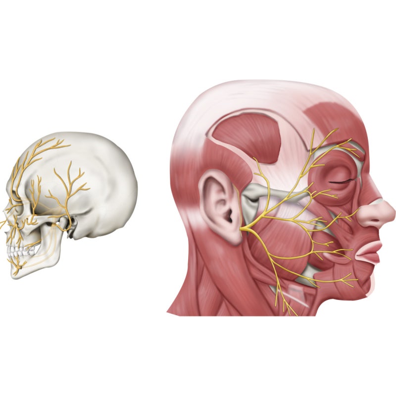 구안와사 원인 증상 전조증상 치료 안면신경 마비 원인 증상 구안와사 후유증 네이버 블로그
