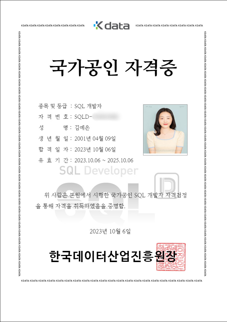 Sqld Sql개발자 50회 시험 후기 독학 공부방법 요약본 Pdf 기출문제 Pdf 노랭이 유선배 유튜브해설강의