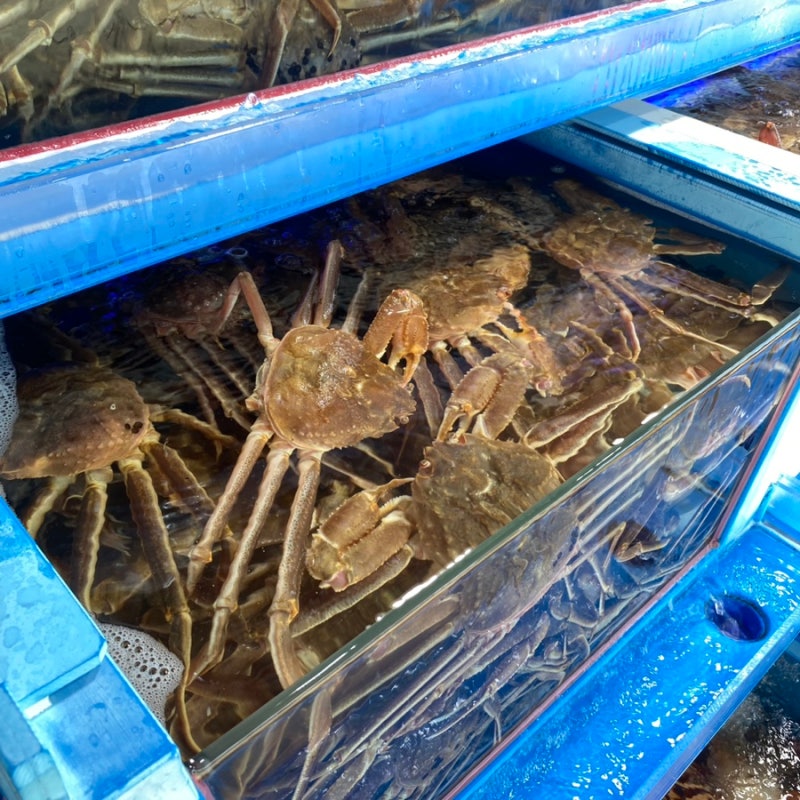 완벽했던 포항 구룡포 맛집 영일만회대게 솔직 후기대게 가자미 홍게라면 매운탕 네이버 블로그