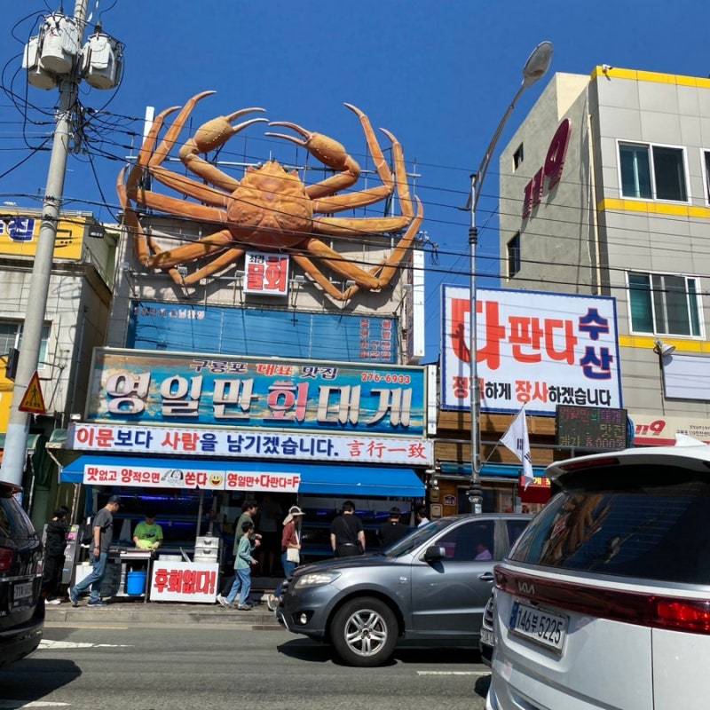 완벽했던 포항 구룡포 맛집 영일만회대게 솔직 후기대게 가자미 홍게라면 매운탕 네이버 블로그
