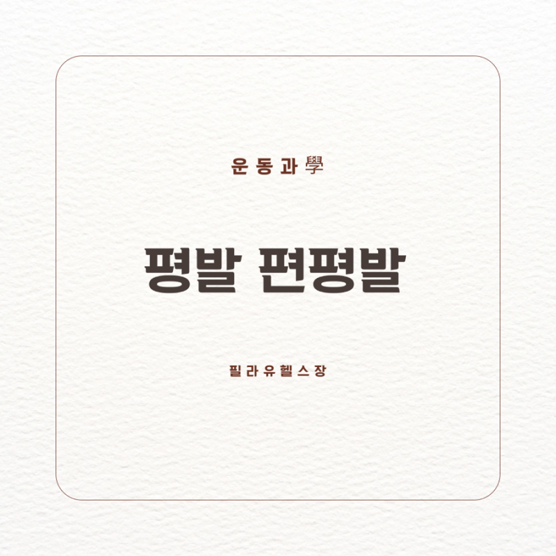 평발 편평발 족궁 발아치무너짐 족저근막 windlass mechanism 윈들라스메커니즘 : 네이버 블로그