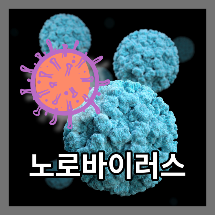 노로바이러스 증상과 원인 및 치료전염 장염 음식