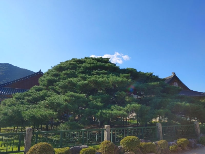 청도 운문사 사리암 산책 가볼만한 곳 주차장 추억의 장소 네이버 블로그