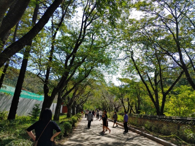 청도 운문사 사리암 산책 가볼만한 곳 주차장 추억의 장소 네이버 블로그