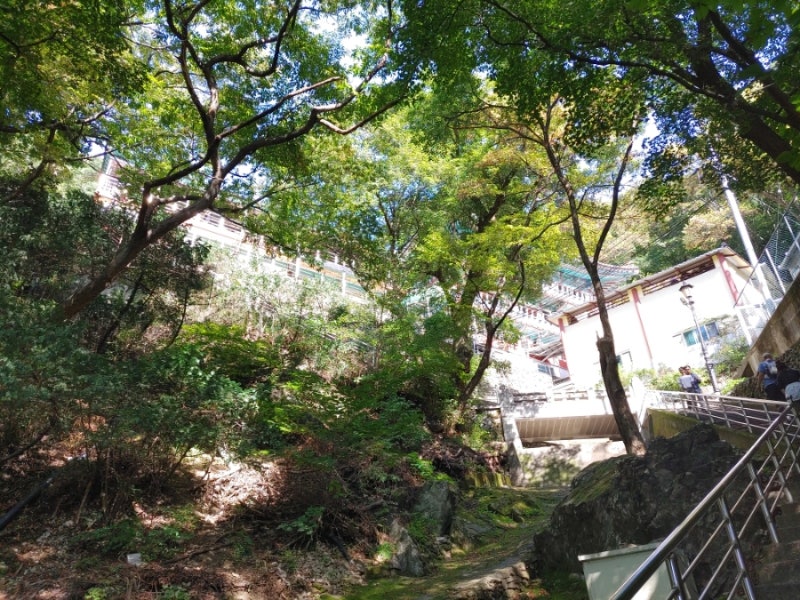 청도 운문사 사리암 산책 가볼만한 곳 주차장 추억의 장소 네이버 블로그