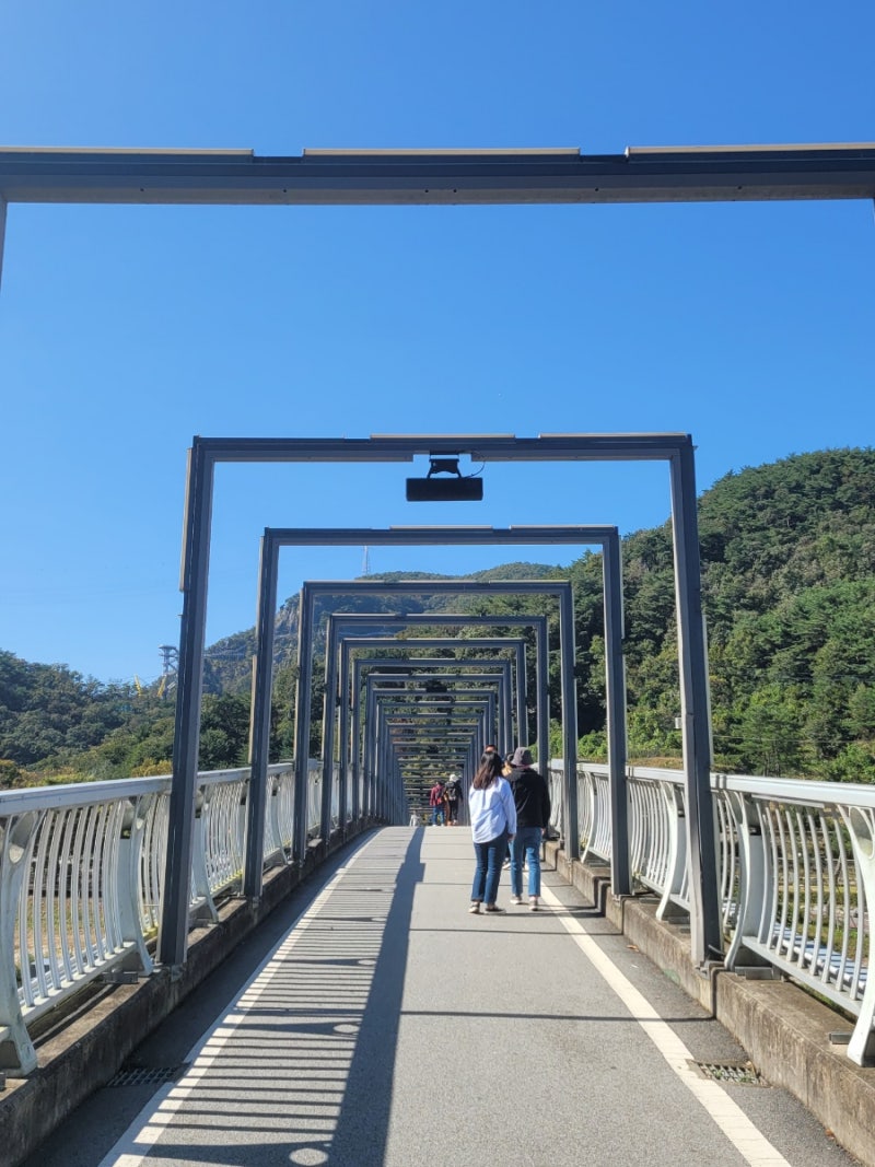 원주 소금산 출렁다리 입장료 주차 코스 ⛰️ 울렁다리 잔도길 스카이워크 모두 완주 네이버 블로그