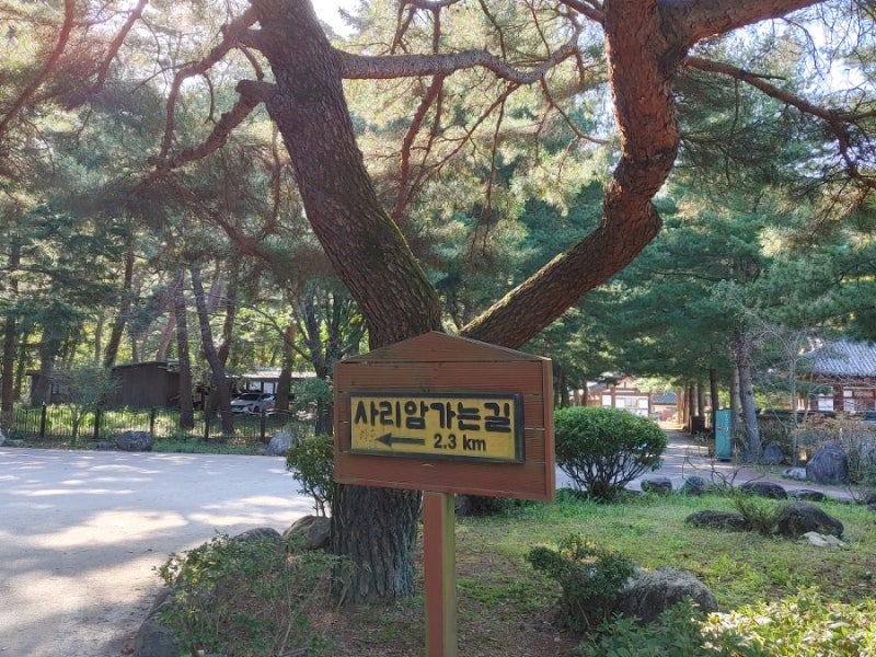 청도 운문사 사리암 산책 가볼만한 곳 주차장 추억의 장소 네이버 블로그
