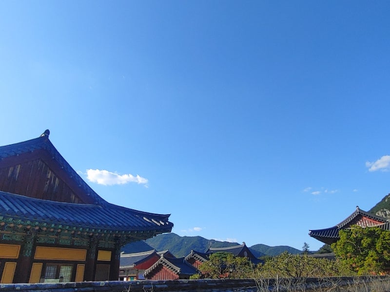 청도 운문사 사리암 산책 가볼만한 곳 주차장 추억의 장소 네이버 블로그