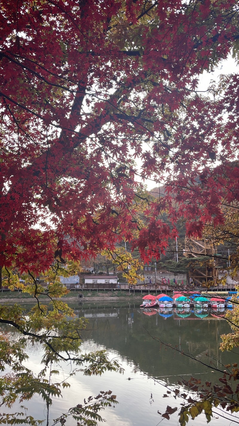 경남 단풍명소 함안 입곡군립공원 단풍길 네이버 블로그